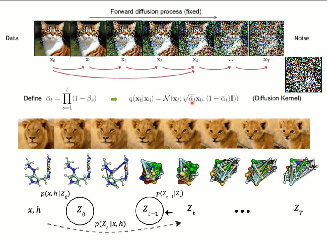 A Round Trip Through Noise: Diffusion Models Fueling Generative Protein Design